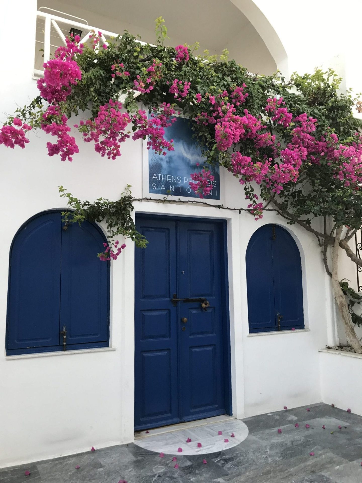 the supermodel of the greek islands (santorini, greece) by karen ...