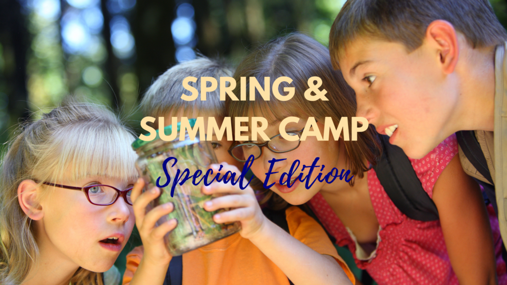 special edition: spring break & summer camp guide - 305 Hive®