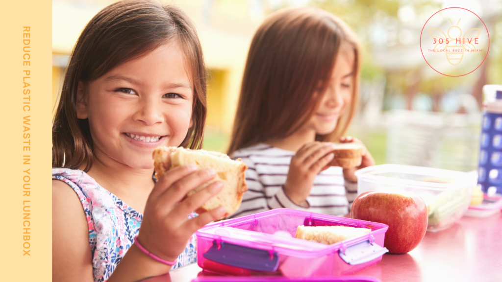 reduce plastic waste in your lunchbox – 305 Hive
