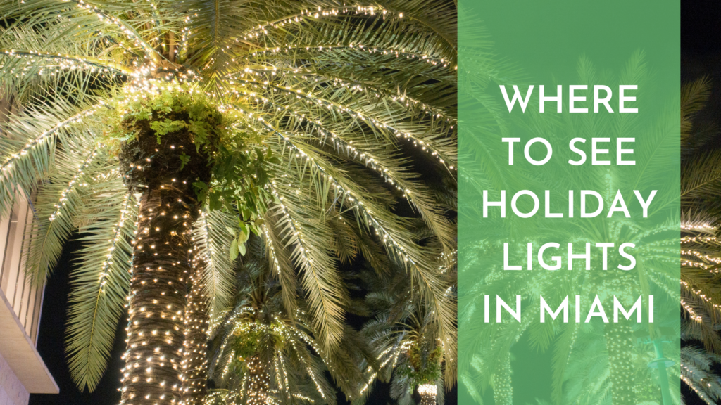 where to see holiday lights in miami - 305 Hive